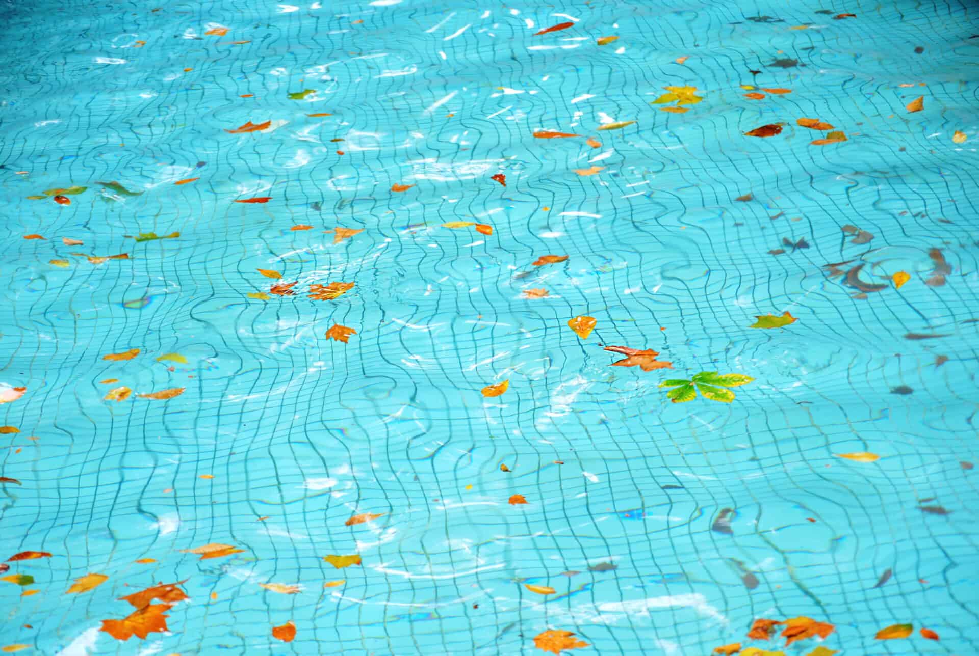 Covering a Pool Reduce Maintenance - Solar Safe Pool Covers